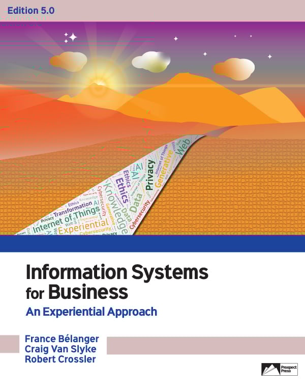Bélanger: Information Systems for Business: An Experiential Approach